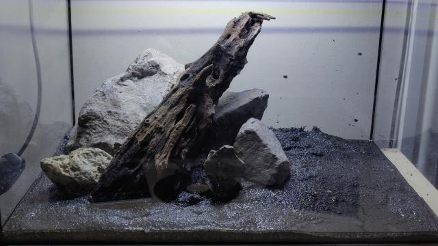 How To Change Substrate In Your Shrimp Tank | Shrimp Science