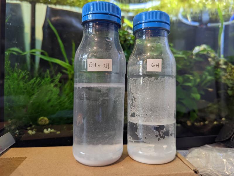 How To Remineralize Water for Shrimp Tanks | Shrimp Science