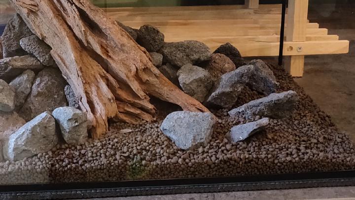 The Guide to Substrates for Shrimp Tanks | Shrimp Science